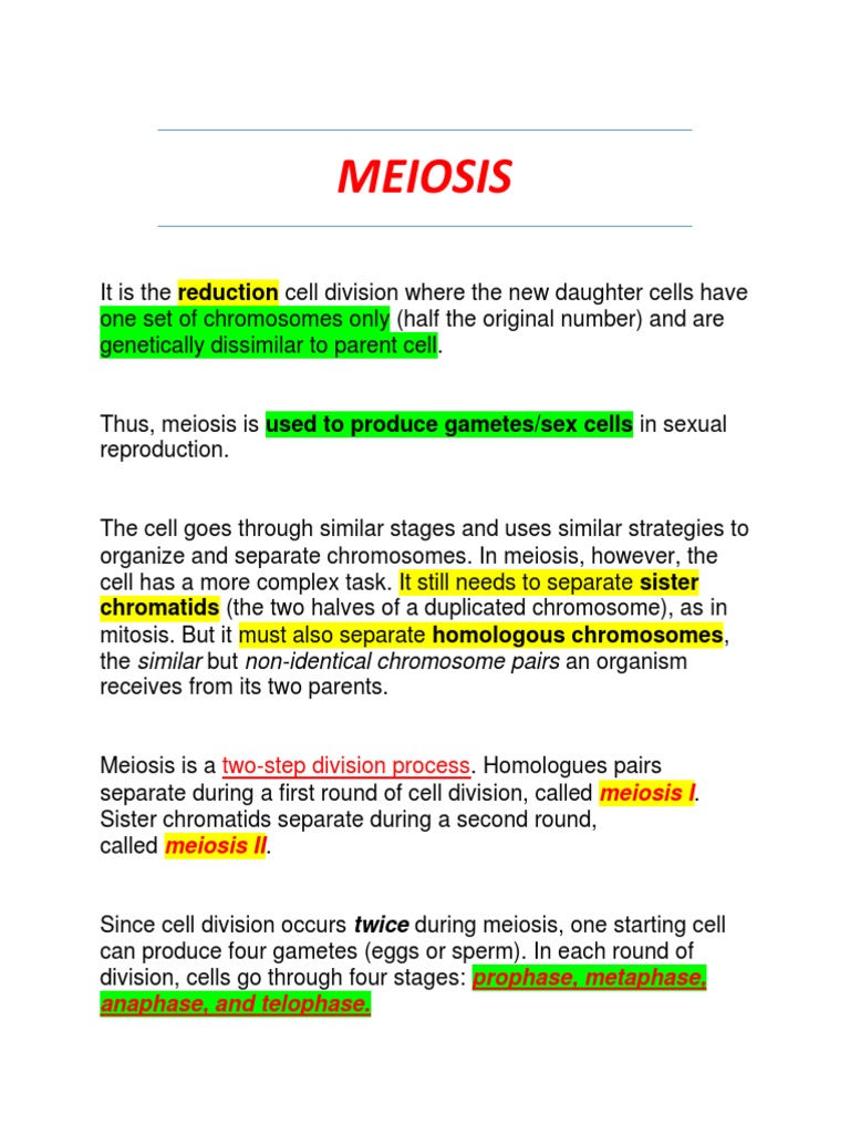 Meiosis Chromatids The Two Halves Of A Duplicated Chromosome As In Pdf Meiosis
