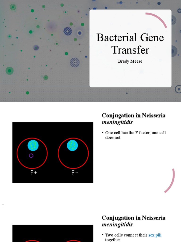 Gene Transfer Storyboard | PDF