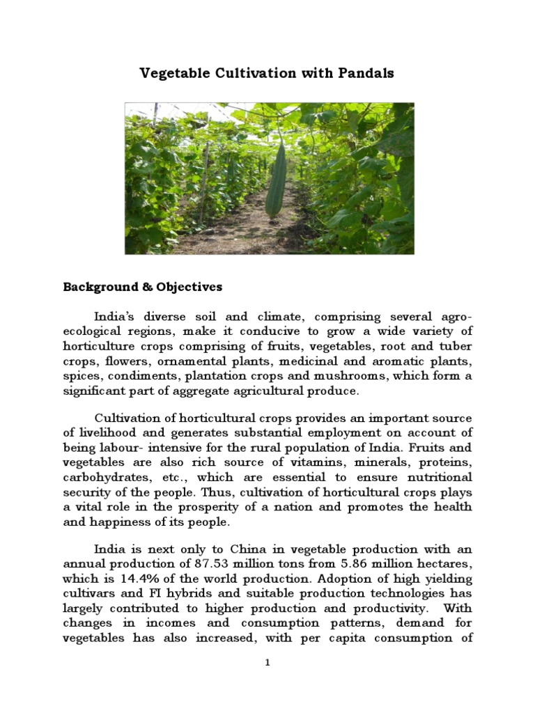 Vegetable Cultivation With Pandals-AP | PDF | Vegetables | Horticulture