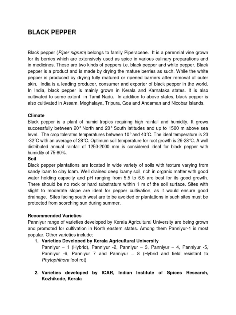 Black Pepper PDF | PDF | Black Pepper | Manure
