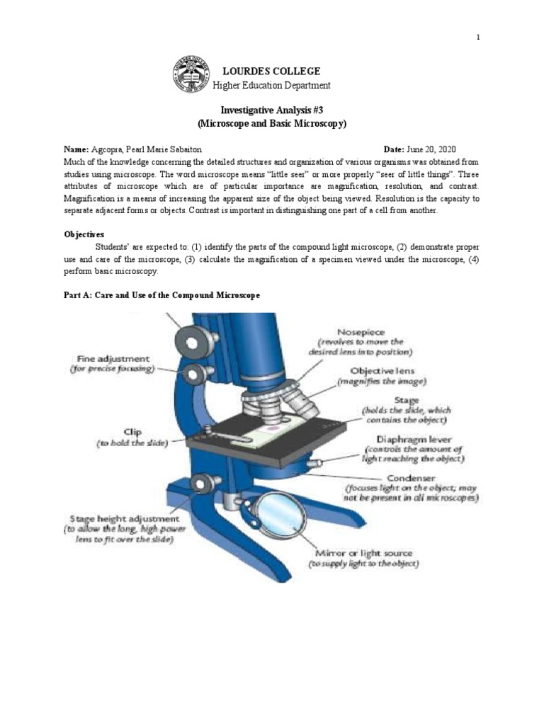 Understanding Microscopy: Calculating Magnification, Care and Use of the Compound Microscope ...