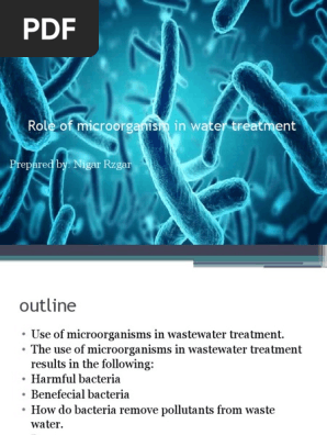 Wastewater Microorganisms