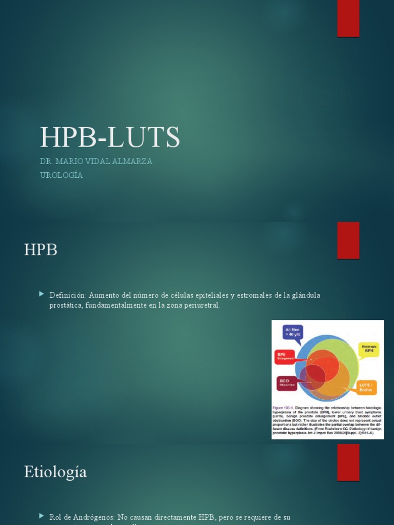 HPB Luts | PDF | Ciencia y matemáticas