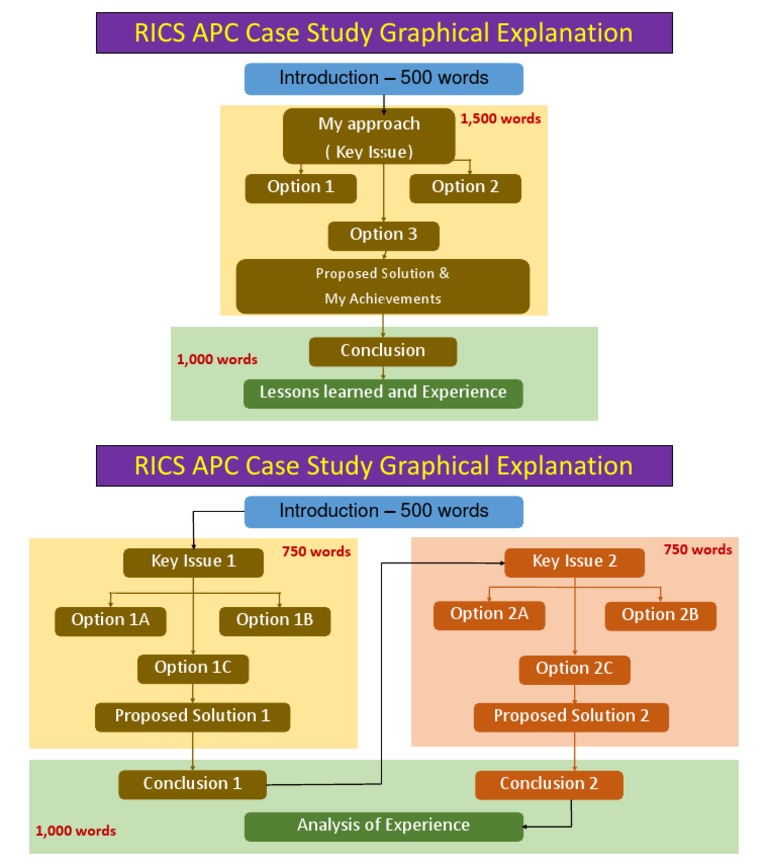RICS APC Case Study Graphical Explanation PDF | PDF