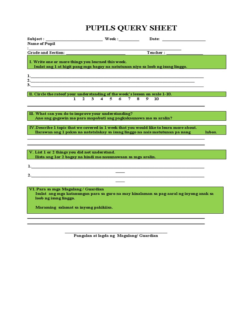 Pupils Query Sheet | PDF