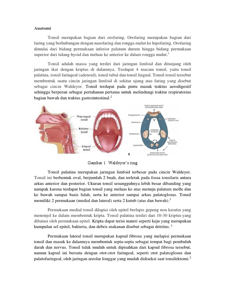 Referat Tumor Tonsil | PDF