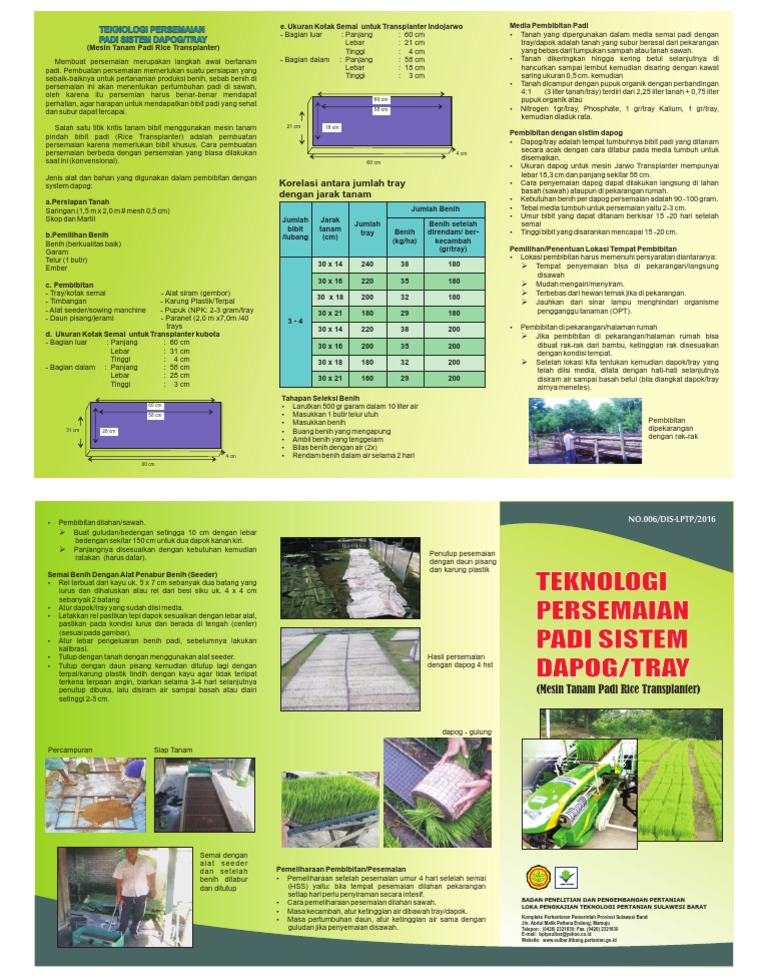 Teknologi Persemaian Padi Sistem Dapog PDF | PDF | Griya & Taman