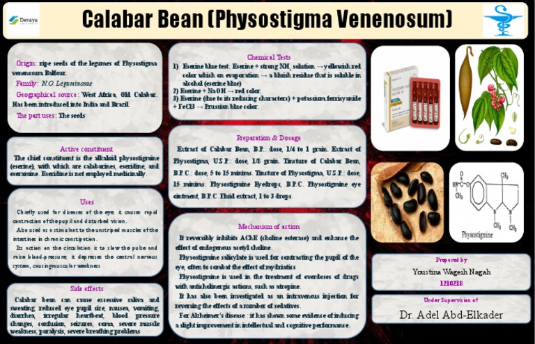 Calabar Bean (Physostigma Venenosum) : Origin Family Geographical ...