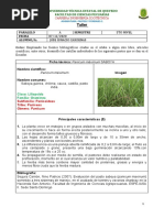 Ficha Técnica Del Pasto Imperial (Axonopus Scoparius, Hitchc) | PDF ...