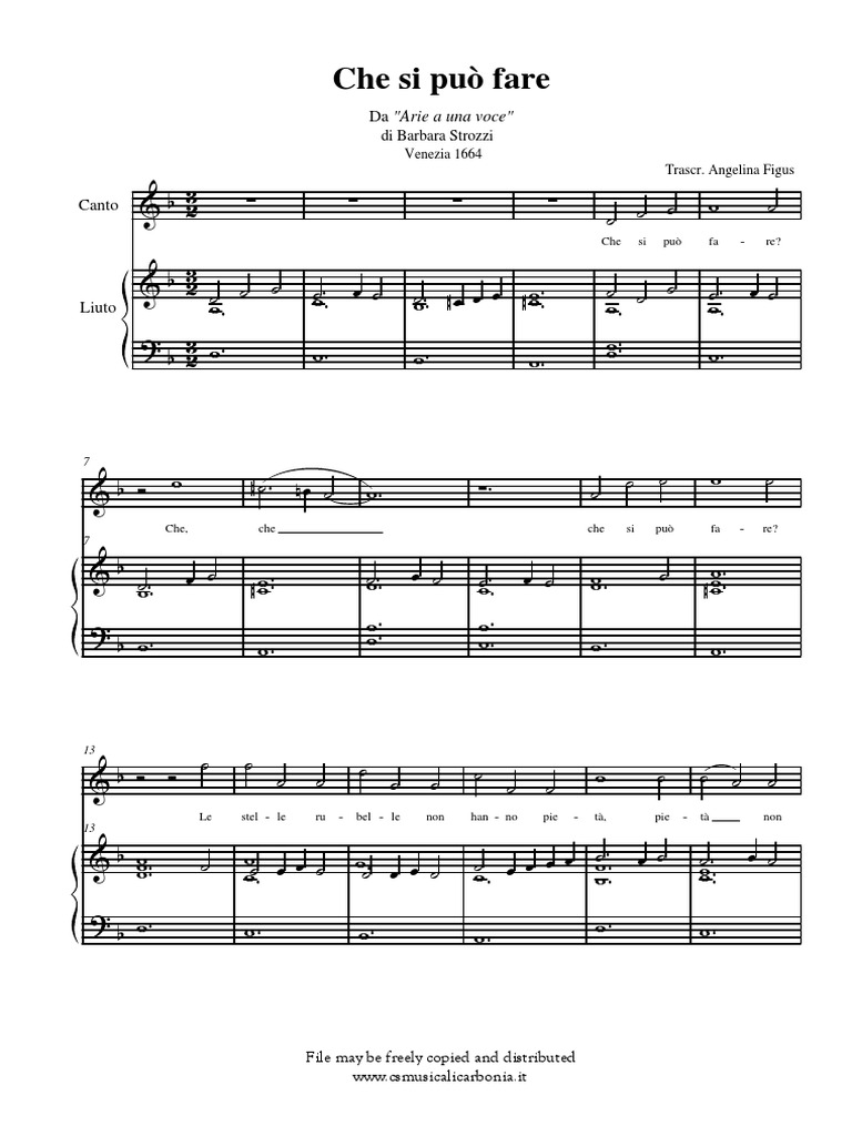 B.Strozzi Che Si Puo Fare PDF | PDF