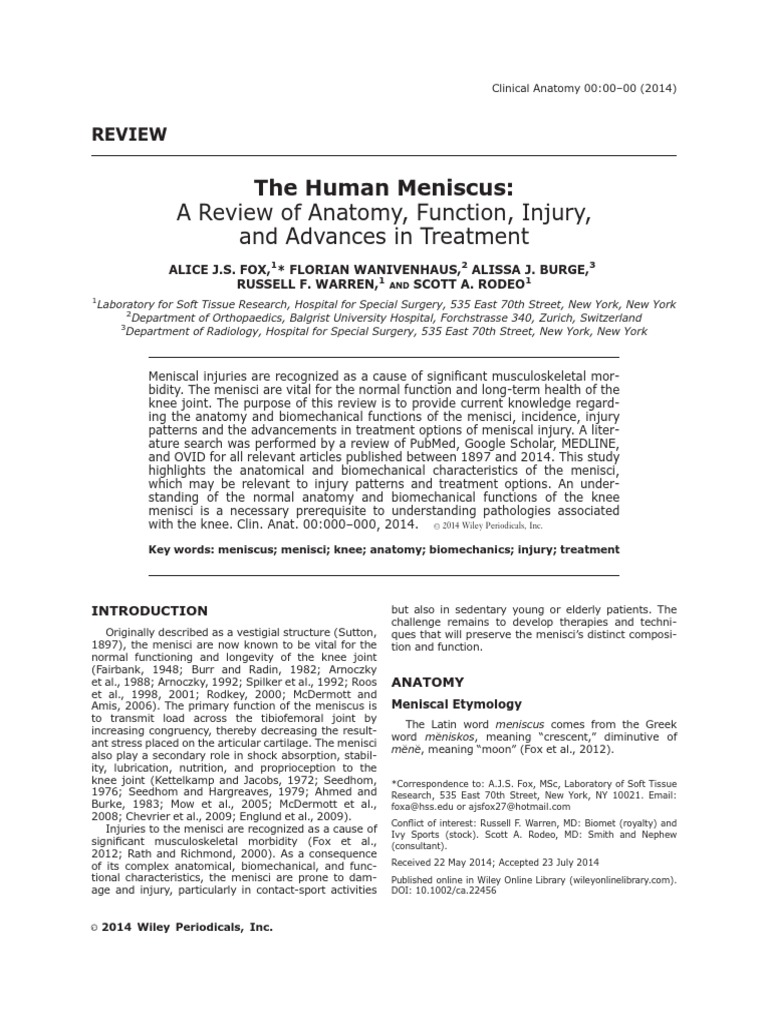The Human Meniscus: A Review of Anatomy, Function, Injury, and Advances ...
