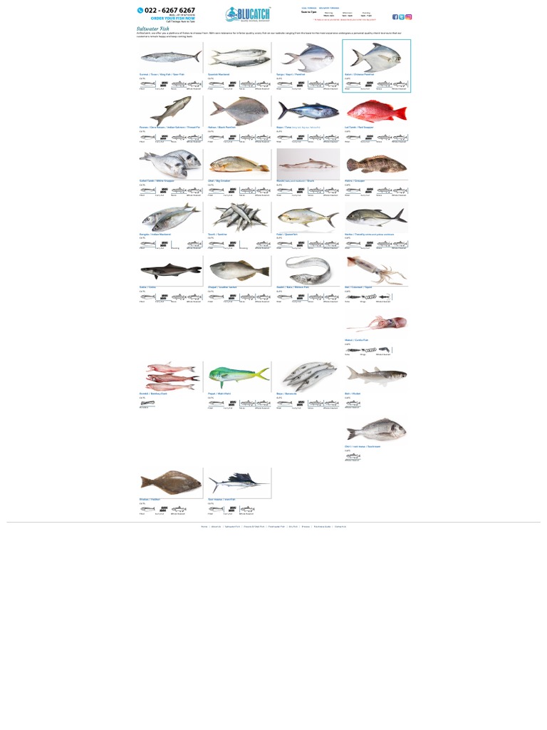 BluCatch - Saltwater Fish | PDF