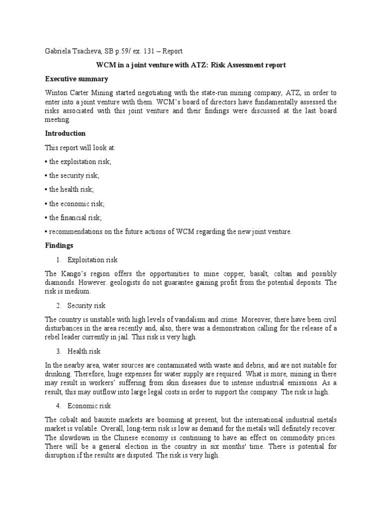 WCM in A Joint Venture With ATZ: Risk Assessment Report Executive ...
