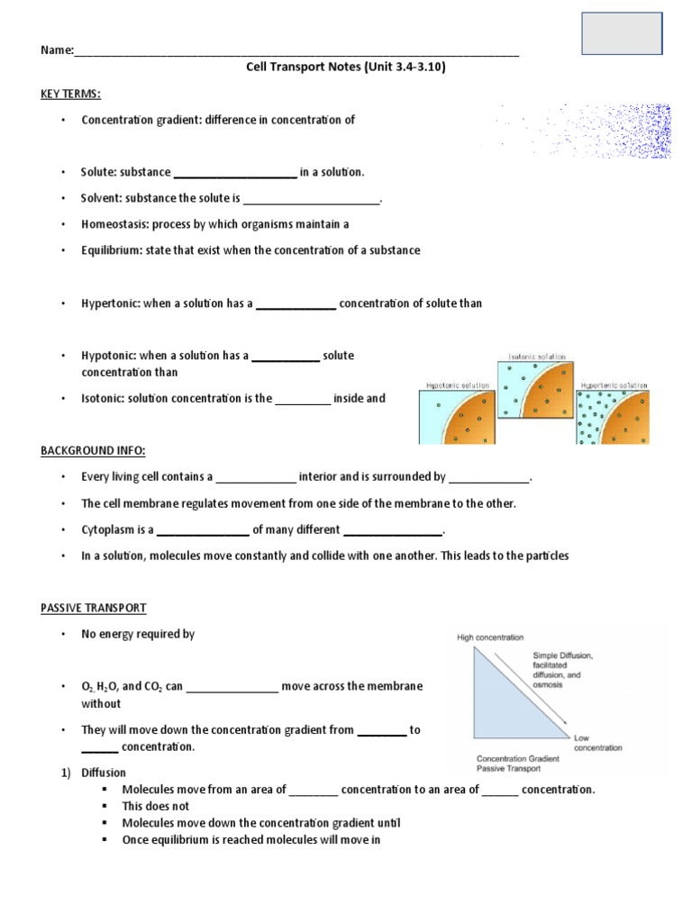 Cell Transport Notes (Unit 3.4-3.10) : - Concentration | PDF | Cell ...