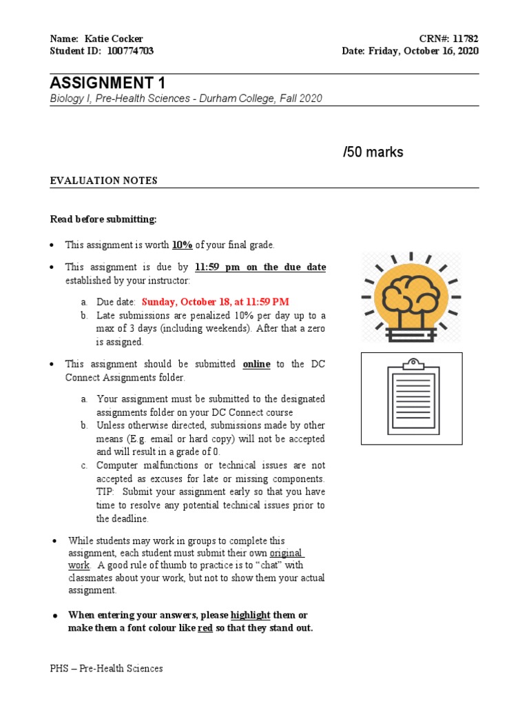 Katie Cocker Bio Assignment 1 | PDF | Translation (Biology) | Messenger Rna