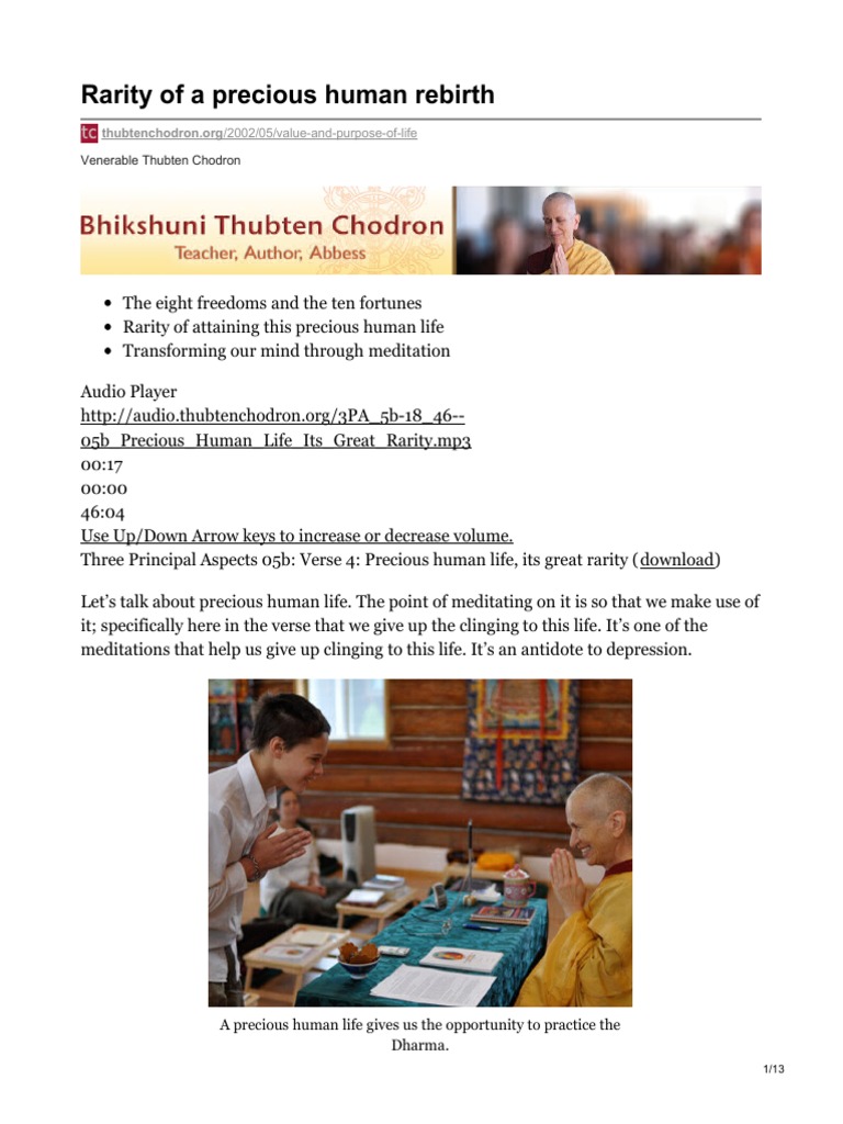 Rarity of A Precious Human Rebirth | PDF | Karma | Enlightenment In ...