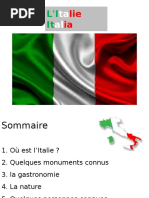 Exposé sur le Brésil : Culture et Histoire | PDF