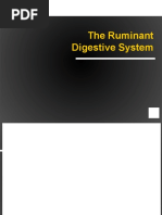 Ruminant and Pseudo-Ruminant Digestive System | PDF | Home & Garden ...