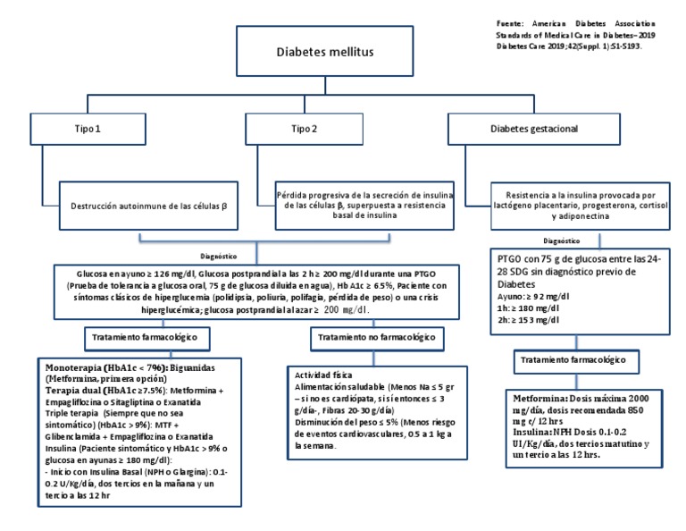 Mapa Conceptual Diabetes | PDF | Diabetes | Endocrinología