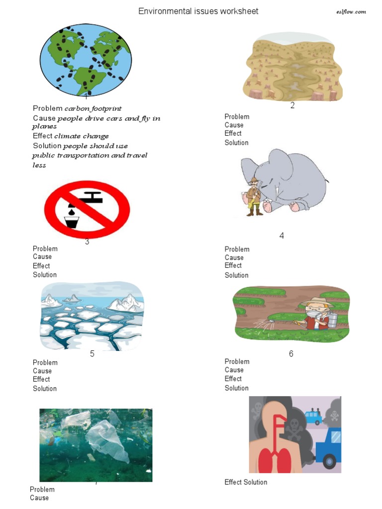Environmental Issues Worksheet 2018 | PDF