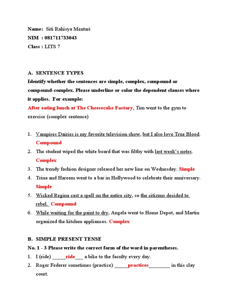 Sentence Types and Tenses Exercises | PDF | Verb | Grammar