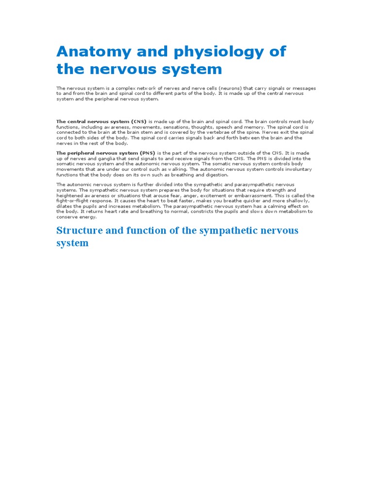 Structure and Function of The Sympathetic Nervous System | PDF ...