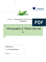 Fumacur 200 mg : Indications et Posologie | PDF | Anémie | Magnésium