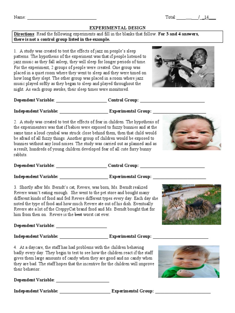 Experimental Design Examples Worksheet | PDF | Rabbit | Experiment