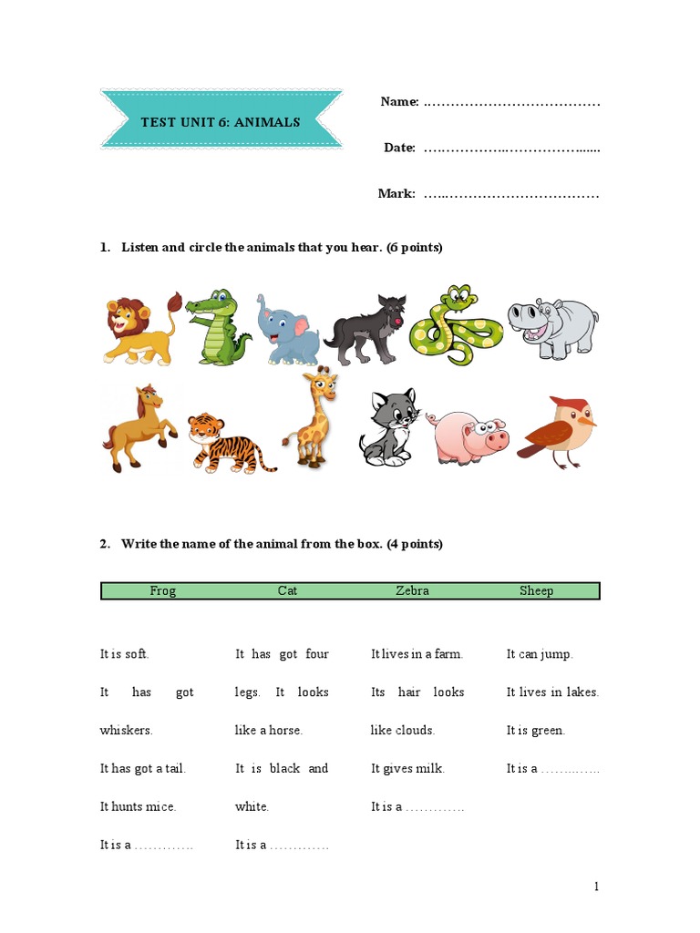 Name: . . Test Unit 6: Animals | PDF