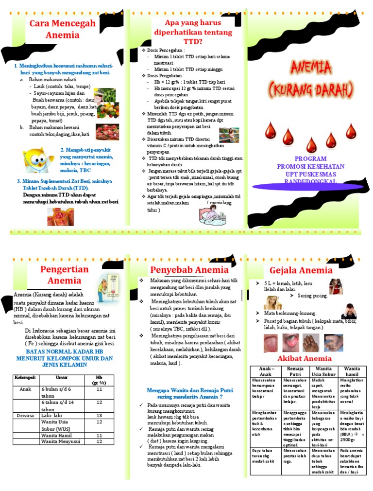 Leaflet Anemia | PDF