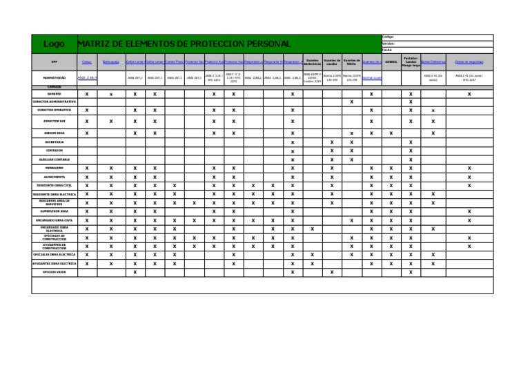 Matriz de EPP | PDF | Business