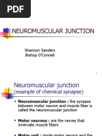 Level 2 - English For Everyone - Student Book | PDF | Verb | English ...