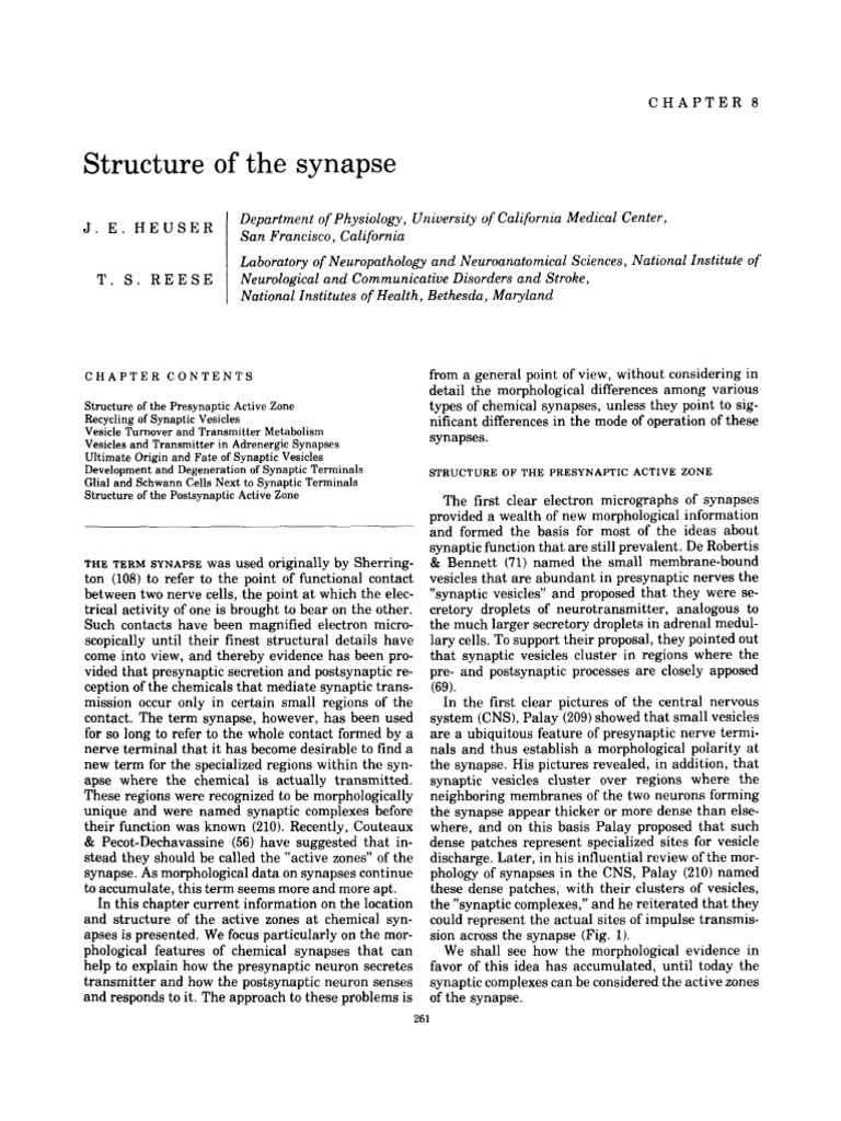 Ch8-Structure of The Synapse | PDF | Chemical Synapse | Synapse