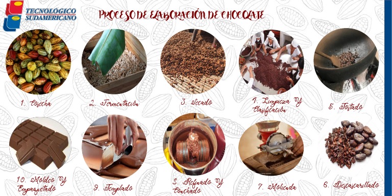 Proceso de Elaboración del Chocolate | PDF
