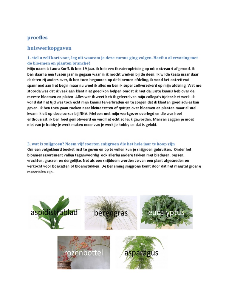 Proefles | PDF
