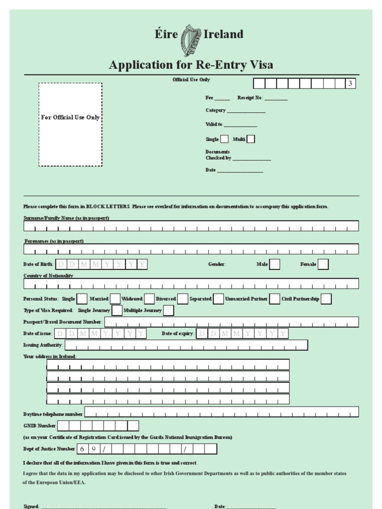 Feb 09 Visa Re Entry Form | Travel Visa | Passport