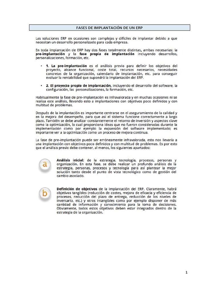 Implantación de Un Erp-2 PDF | PDF