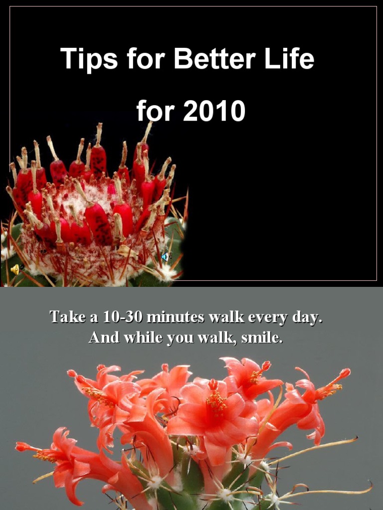 3-Tips For Better Life ML - Pps | PDF | Plants