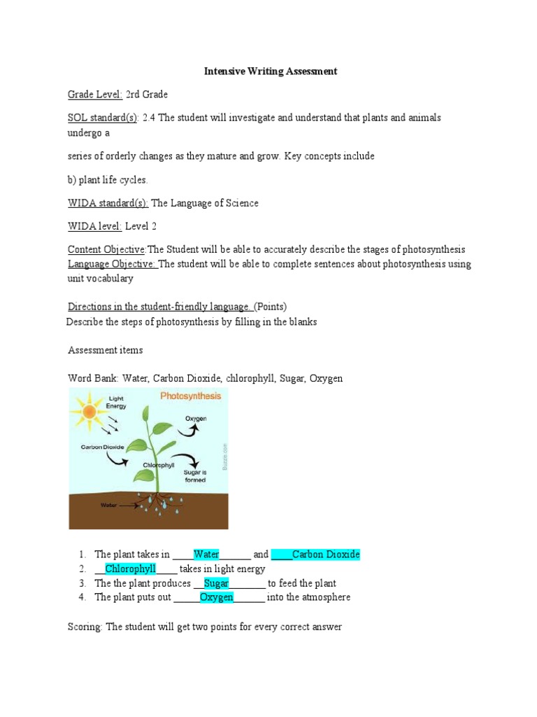 Writing Assessment | PDF