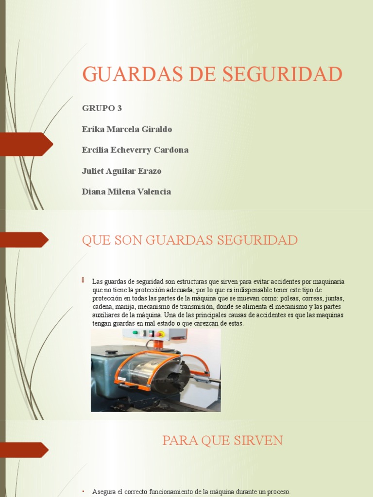 Tipos y Funciones de Guardas de Seguridad | PDF | Naturaleza
