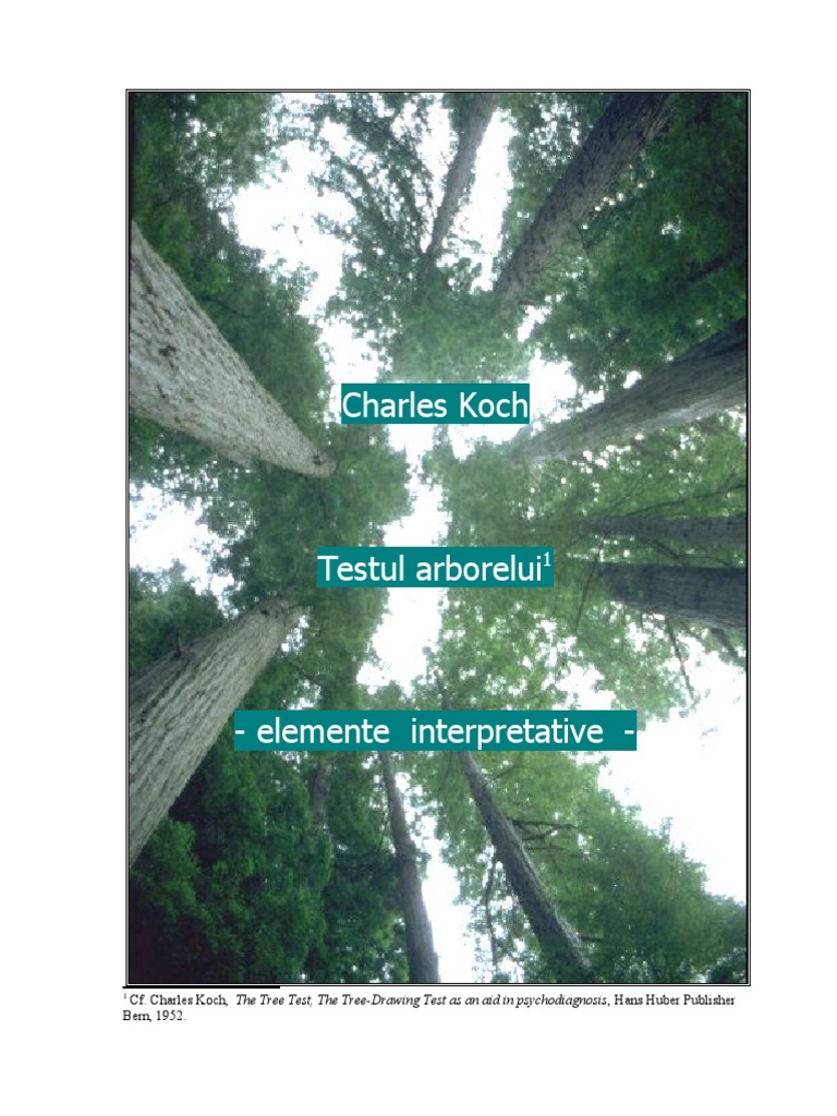 Testul Arborelui | PDF