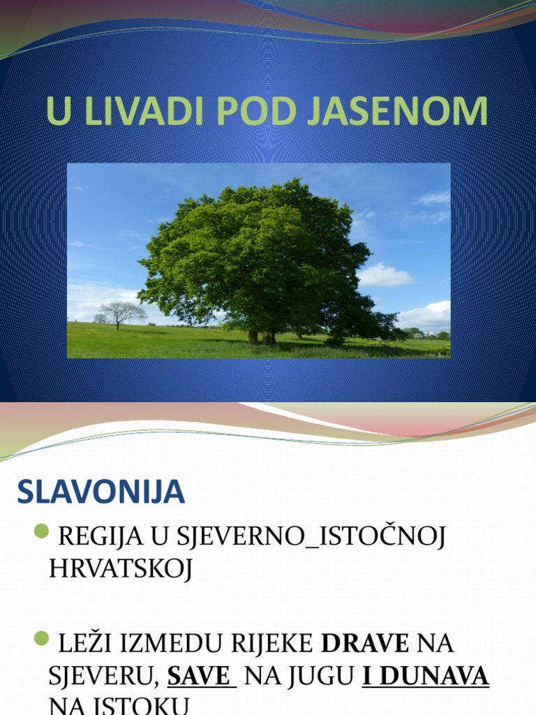 U Livadi Pod Jasenom | PDF
