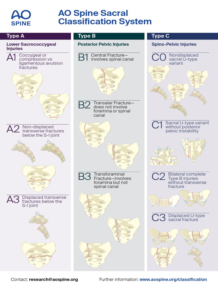 AOS Injury Classification Pocket Card 20200331 SACRAL | PDF | Spinal ...