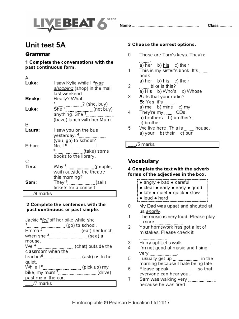 Unit Test 5A: Grammar | PDF