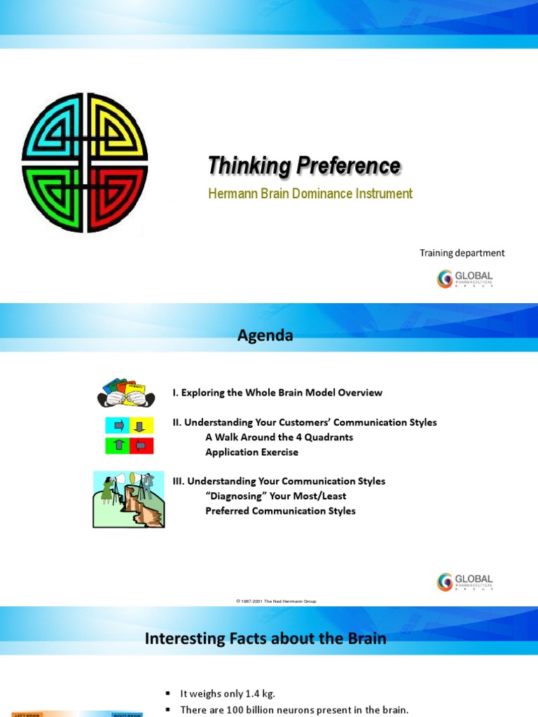 Thinking Preference: Hermann Brain Dominance Instrument | PDF ...
