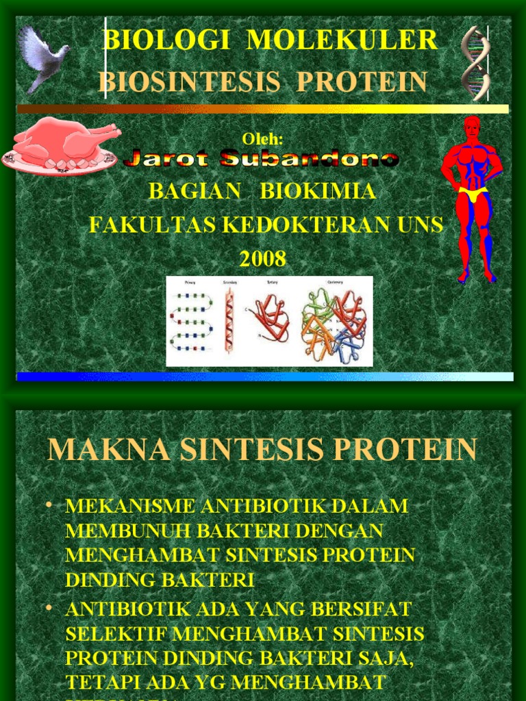 Biosintesis Protein: Biologi Molekuler | PDF | Messenger Rna | Genetic Code