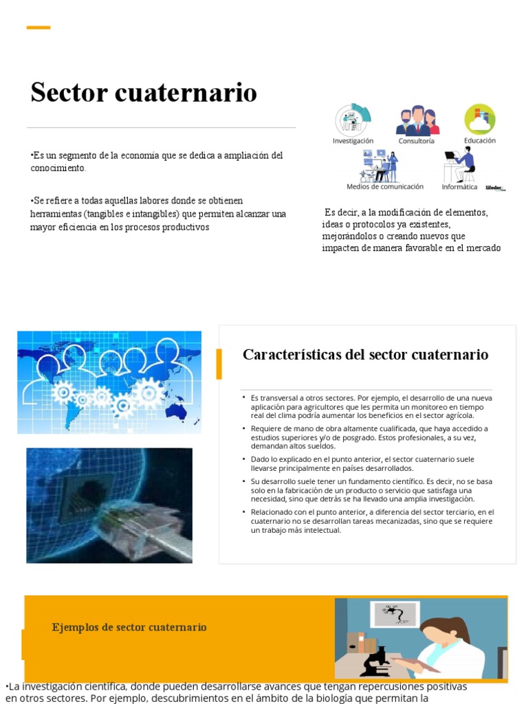 Sector Cuaternario | PDF | Business | Informática