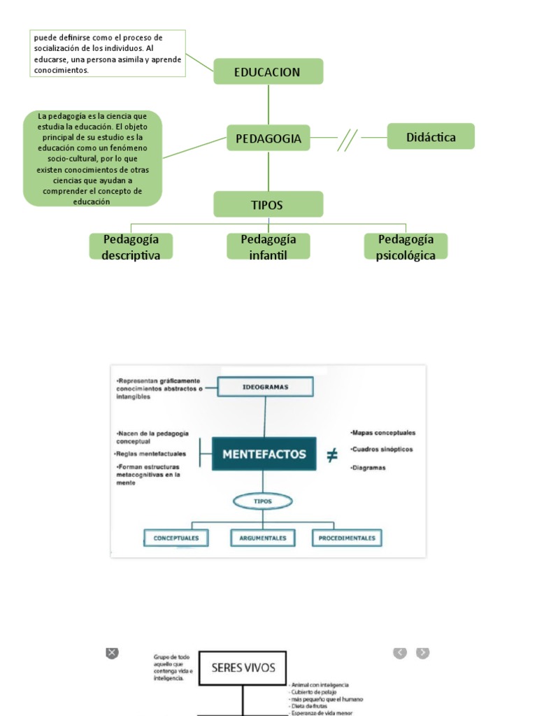 Plantilla Mentefacto | PDF