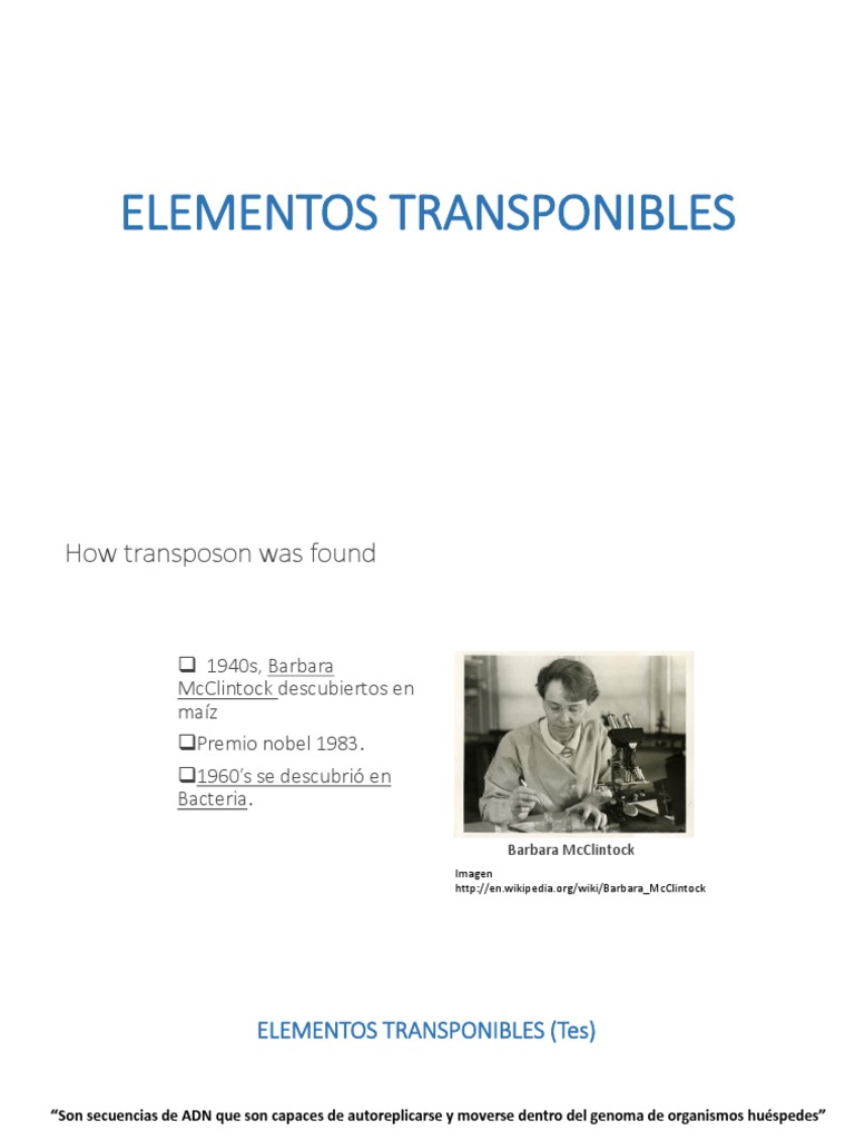 Elementos Transponibles | PDF | Elemento transponible | Replicación De Adn