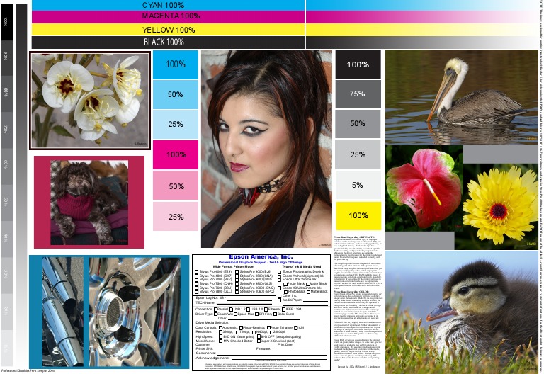 PGG - Print Sample - 093005 PDF | PDF | Printer (Computing) | Ink